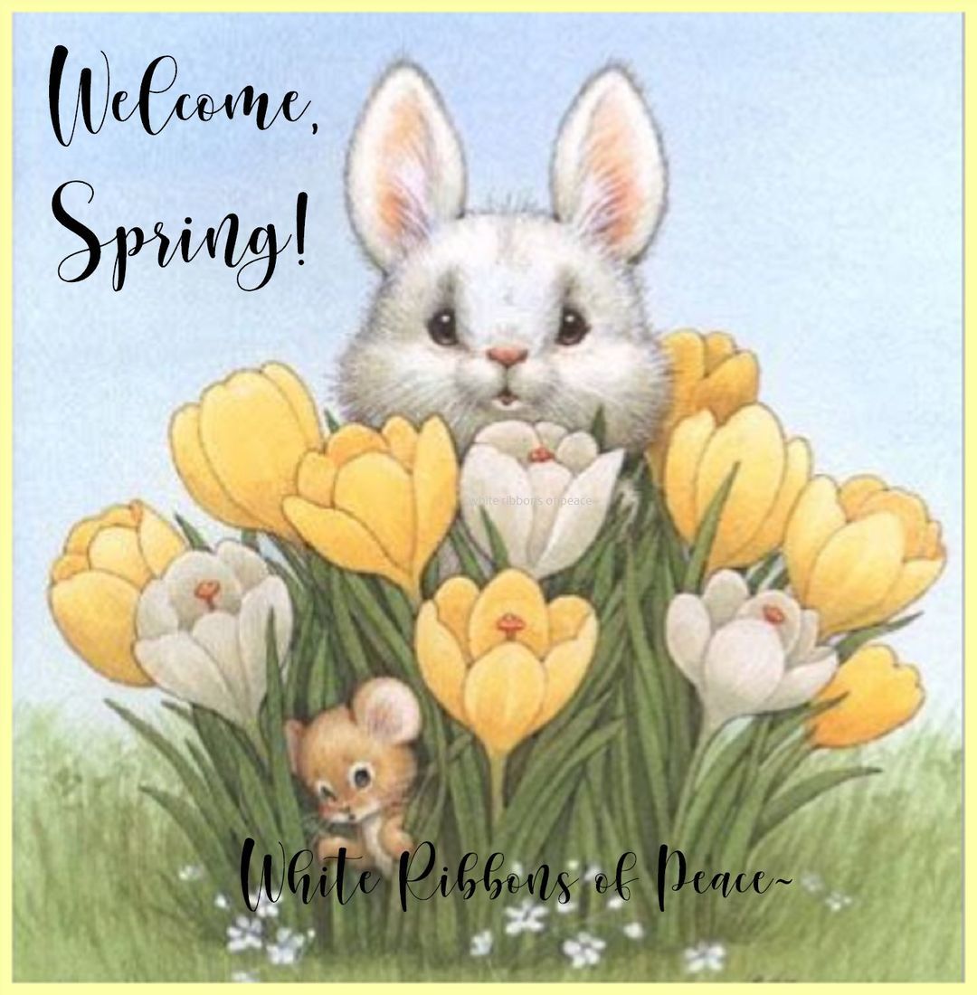 Welcome, Spring Pictures, Photos, and Images for Facebook, Tumblr ...