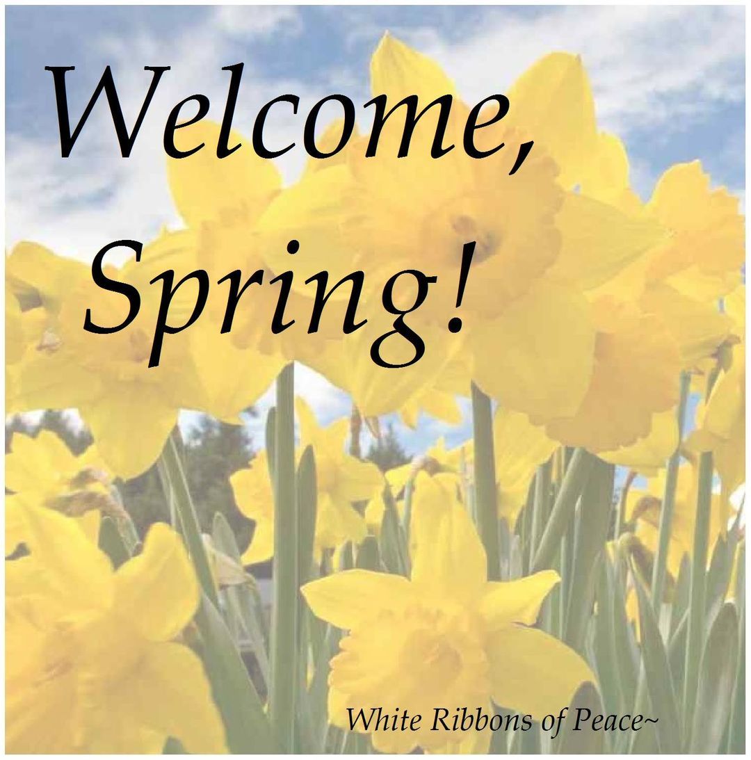 Daffodil Welcome, Spring! Pictures, Photos, and Images for Facebook ...