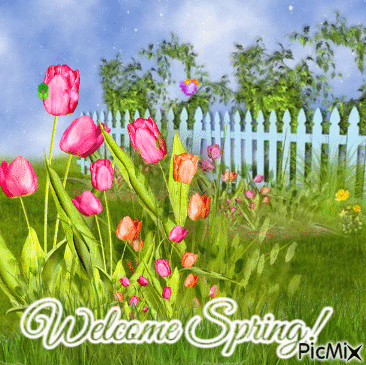 Pink Tulip - Welcome Spring Gif! Pictures, Photos, and Images for ...