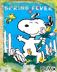 Spring Fever Pictures, Photos, and Images for Facebook, Tumblr ...