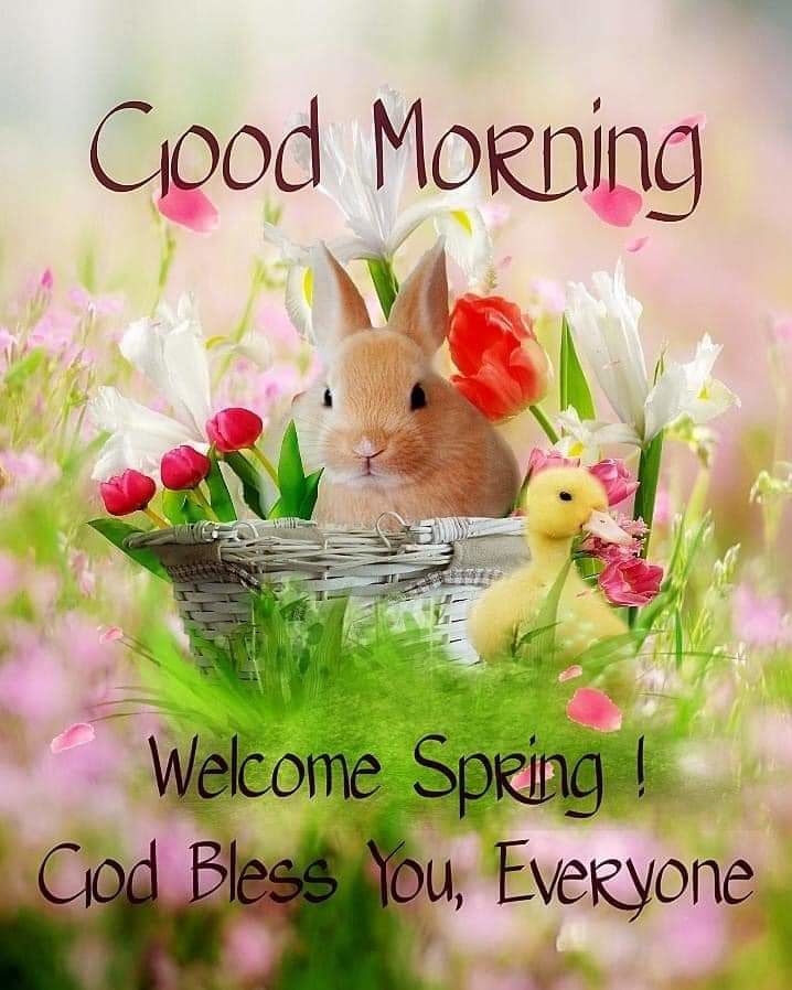 Good Morning And Welcome Spring Pictures, Photos, and Images for ...