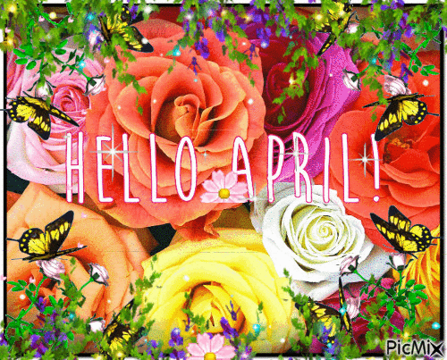 Spring Roses - Hello April! Pictures, Photos, and Images for Facebook ...