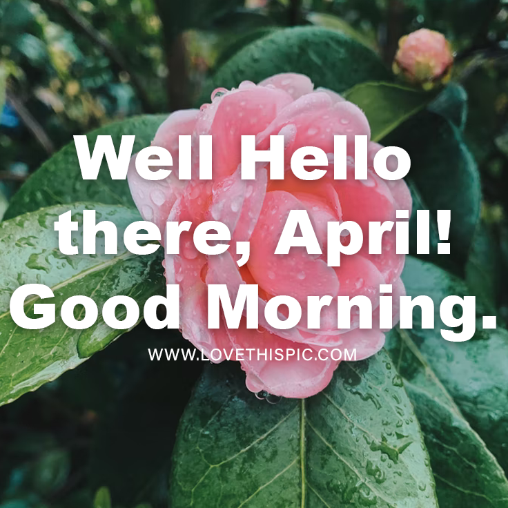 Well Hello There, April! Good Morning Pictures, Photos, and Images for ...