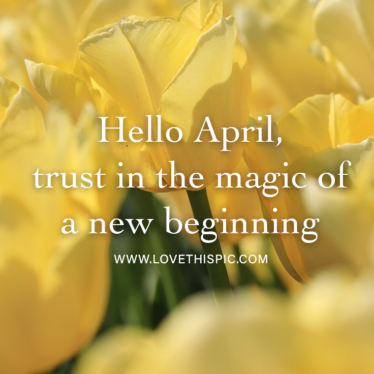 Yellow Tulips - Hello April, Trust In The Magic Of A New Beginning ...