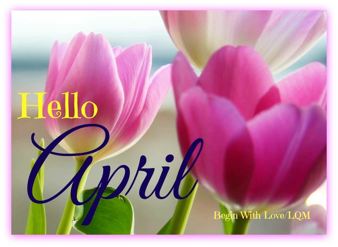 Blossoming Pink Tulips - Hello April Pictures, Photos, and Images for ...