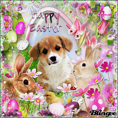 Happy Easter Dog & Bunny Pictures, Photos, and Images for Facebook ...
