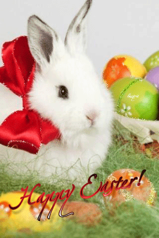 White Bunny With Red Ribbon - Happy Easter Pictures, Photos, and Images ...