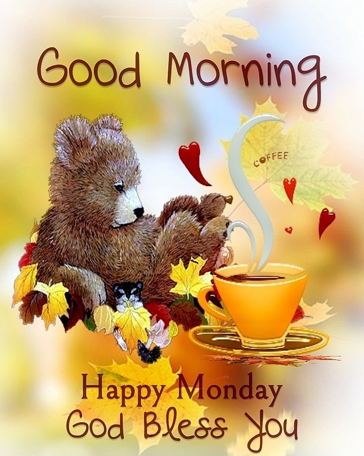 Teddy Bear - Good Morning, Happy Monday. God Bless You Pictures, Photos ...