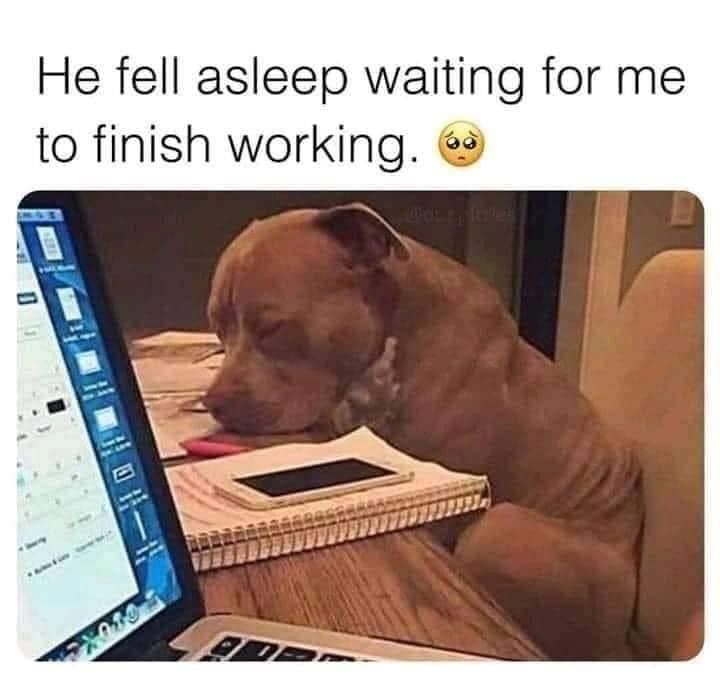 He Fell Asleep Waiting For Me To Finish Working Pictures, Photos, and ...