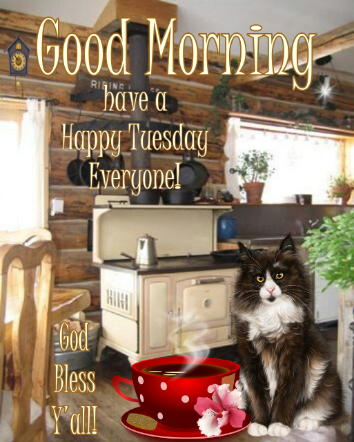 Big Cat - Good Morning, Have A Happy Tuesday Everyone! Pictures, Photos ...