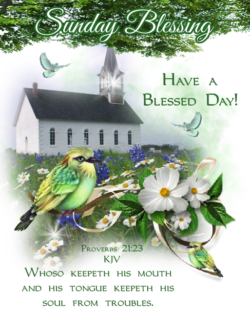 Sunday Blessing, Have A Blessed Day! Pictures, Photos, and Images for ...