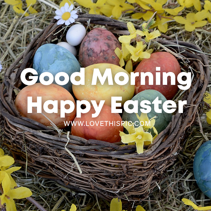 Easter Egg Nest - Good Morning Happy Easter Pictures, Photos, and ...