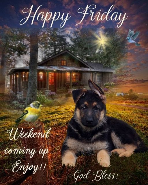 Happy Friday, Weekend Coming Up, Enjoy Pictures, Photos, and Images for ...