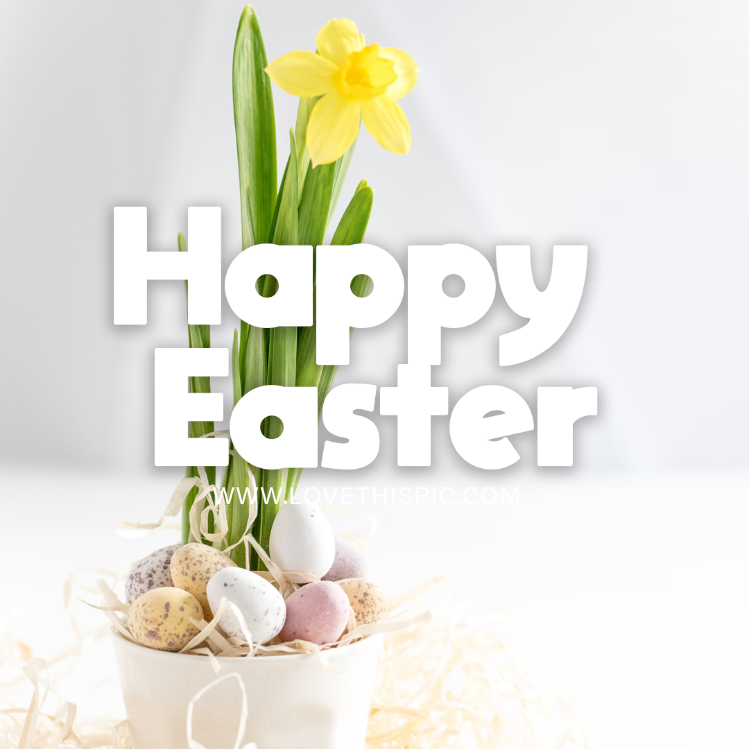 Happy Easter Pictures, Photos, and Images for Facebook, Tumblr ...