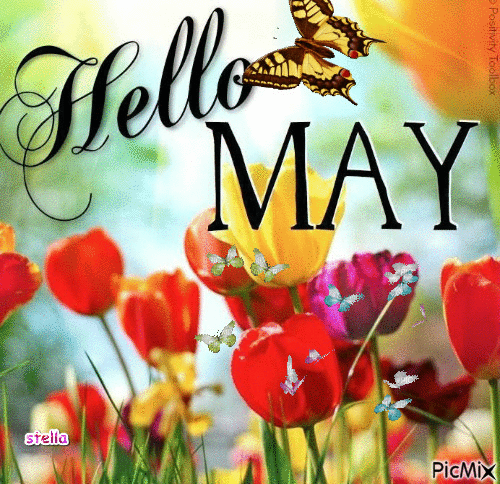 Hello May Butterfly Gif Pictures, Photos, and Images for Facebook ...