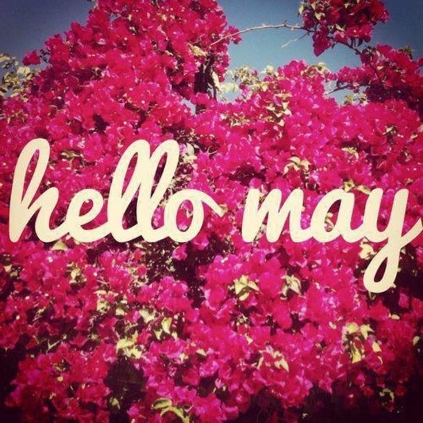 Hello May Pink Floral Bush Pictures, Photos, and Images for Facebook ...