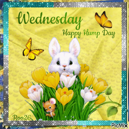 Wednesday Happy Hump Day Pictures, Photos, and Images for Facebook ...