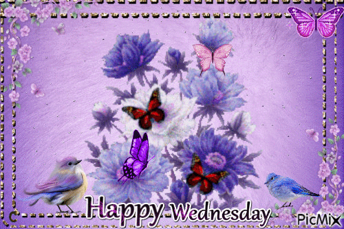 Floral Butterfly Happy Wednesday Gif Pictures, Photos, and Images for ...