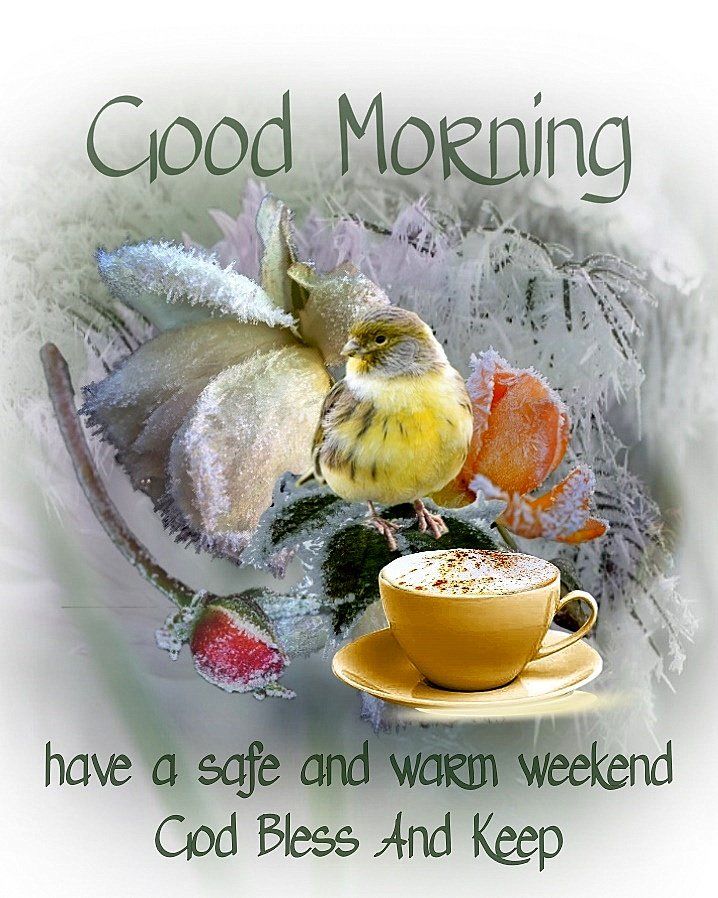 Good Morning Have A Safe And Warm Weekend Pictures Photos And Images good-morning-have-a-safe-and-warm-weekend-pictures-photos-and-images