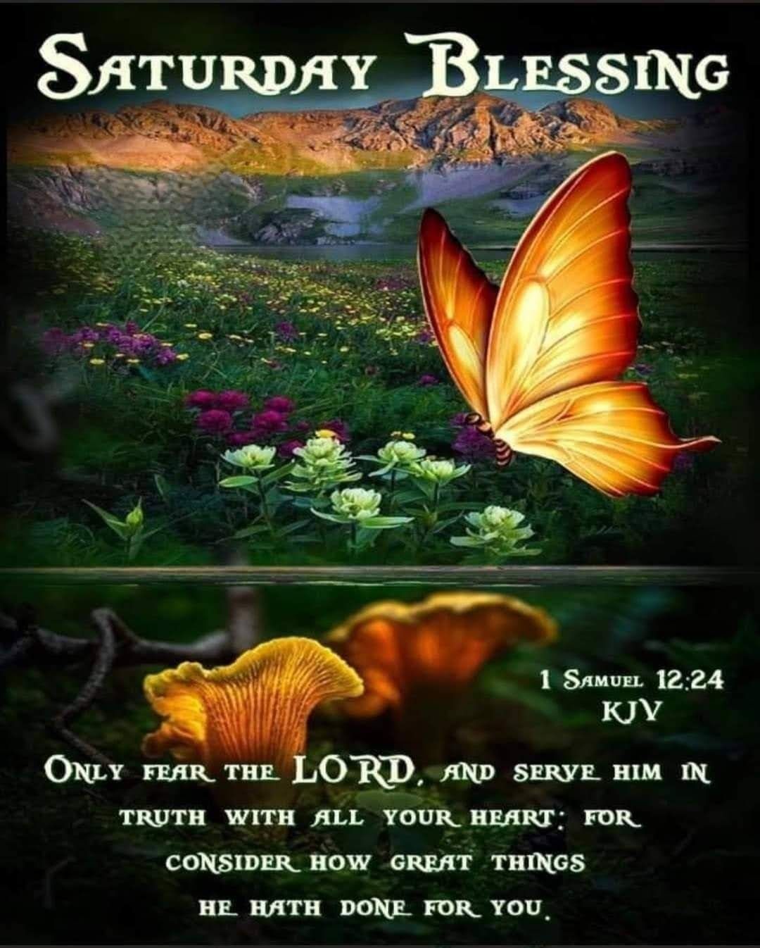 Gold Butterfly - Saturday Blessing Pictures, Photos, and Images for ...