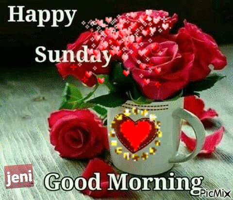 Cup Of Red Roses - Happy Sunday Pictures, Photos, and Images for ...