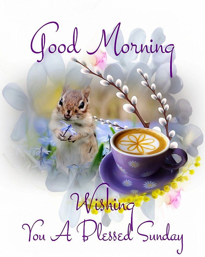 Wishing You A Blessed Sunday Pictures, Photos, and Images for Facebook ...