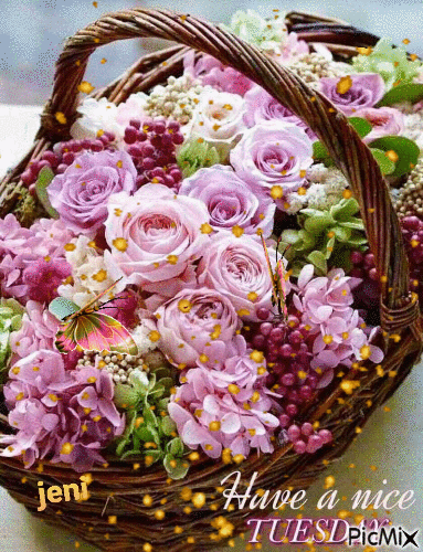 Rose Basket - Have A Nice Tuesday Pictures, Photos, and Images for ...