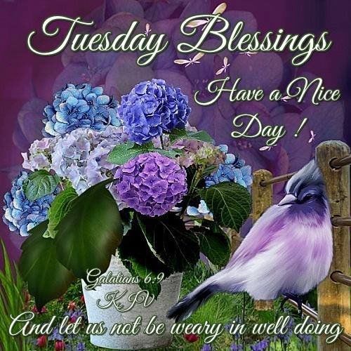 Lavender Bird And Flowers - Tuesday Blessings Pictures, Photos, and ...