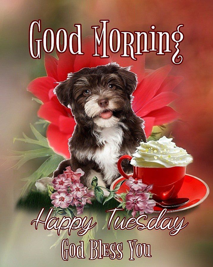 Happy Doggy - Good Morning, Happy Tuesday, God Bless You Pictures ...