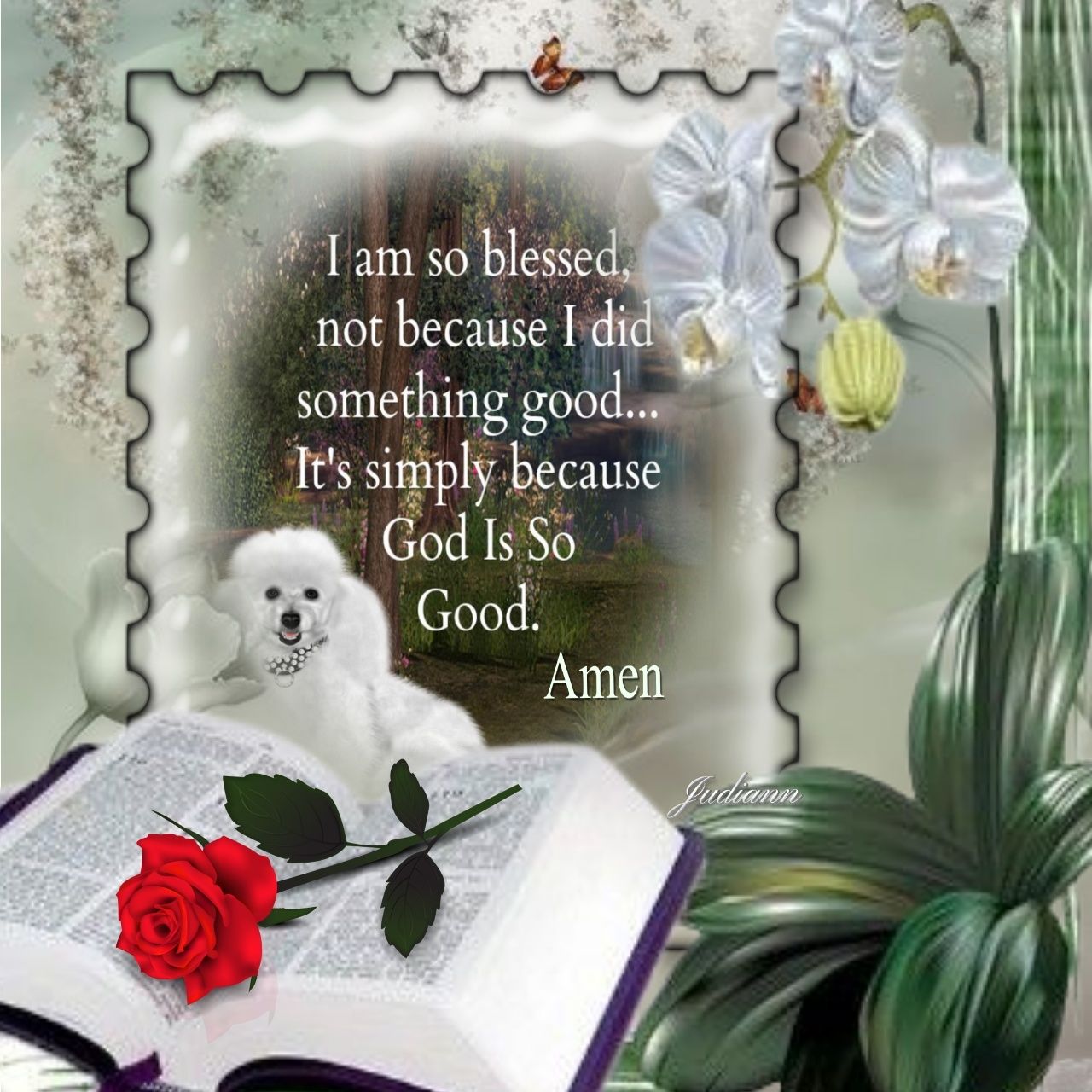 I Am So Blessed, Not Because I Did Something Good...it's Simply Because ...