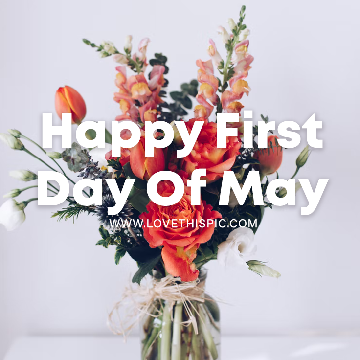 Red Flower Arrangement - Happy First Day Of May Pictures, Photos, and ...