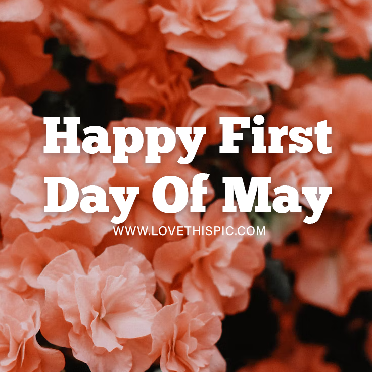Red Petaled Flower - Happy First Day Of May Pictures, Photos, and ...
