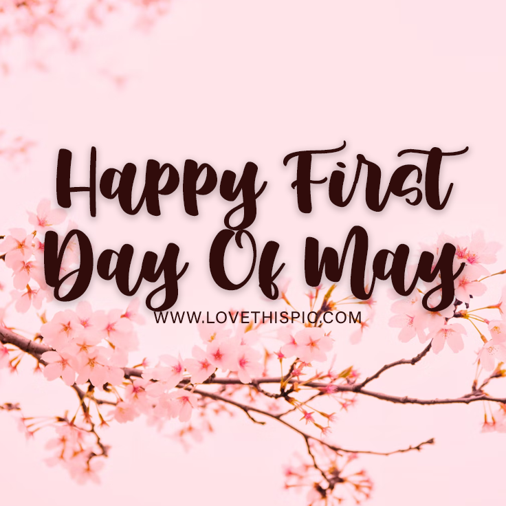 Pink Cherry Blossom - Happy First Day Of May Pictures, Photos, and ...