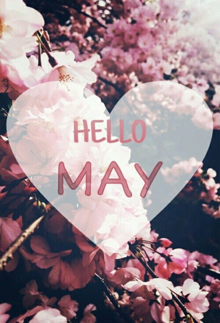 Hello May Heart And Flowers Pictures, Photos, and Images for Facebook ...