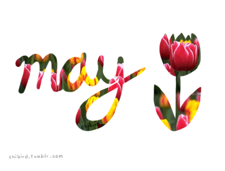Animated May Flower Gif Pictures, Photos, and Images for Facebook ...