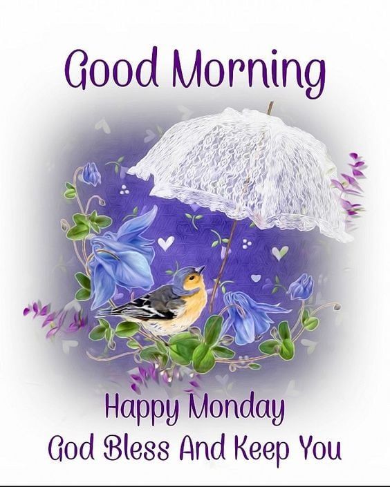 Birds Under Umbella - Good Morning, Happy Monday. God Bless And Keep ...