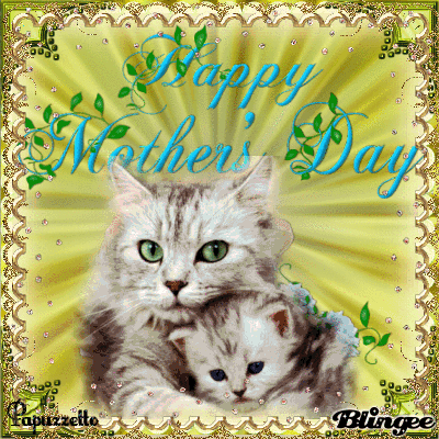 Hugging Cats - Happy Mother's Day Pictures, Photos, and Images for ...