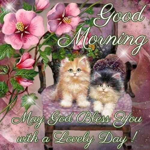 Kittens In Chair - Good Morning. May God Bless You With A Lovely Day ...