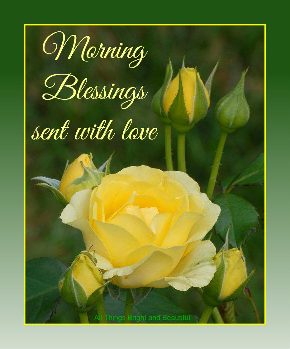Morning Blessings Sent With Love Pictures, Photos, and Images for ...