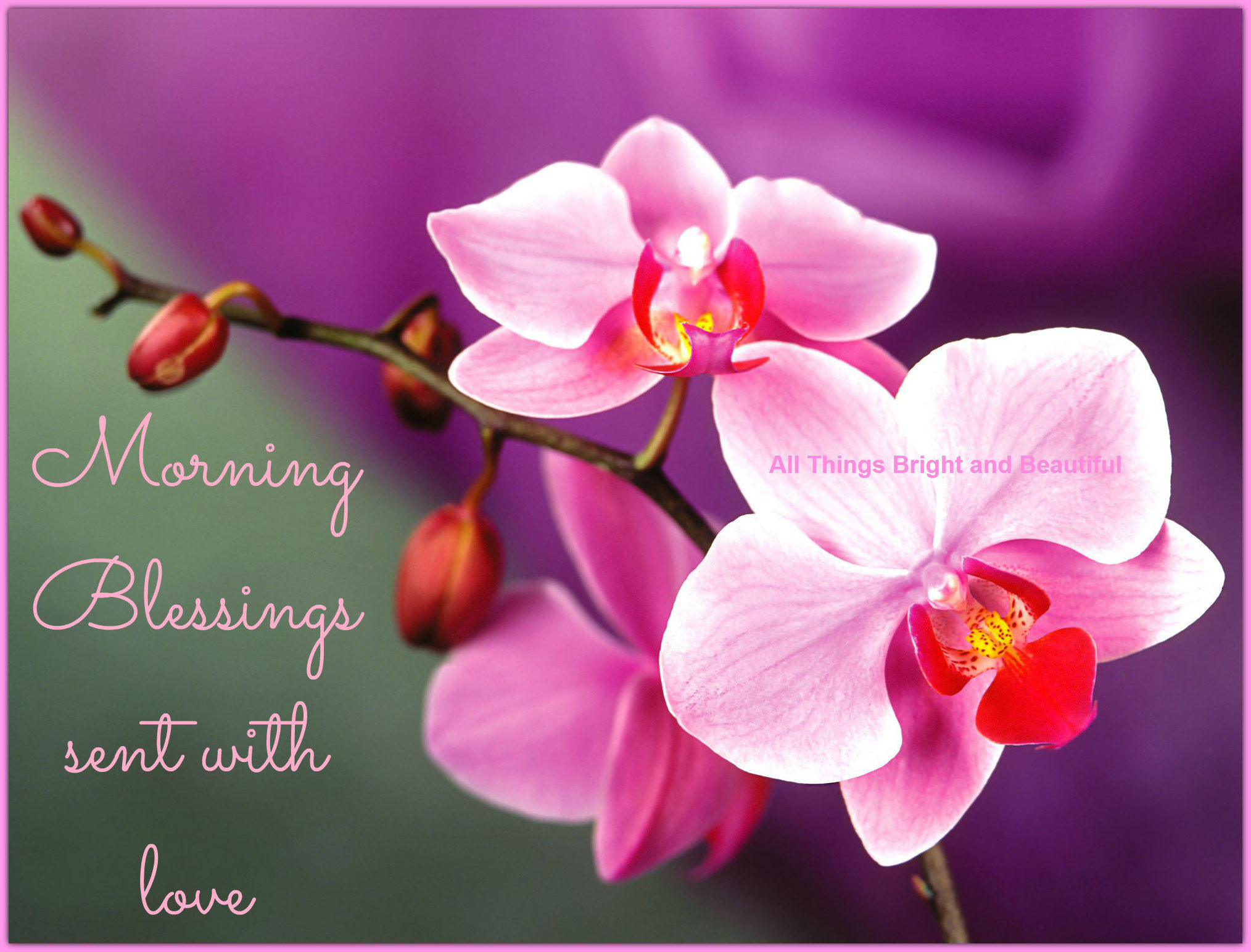 Morning Blessings Sent With Love Pictures, Photos, and Images for ...