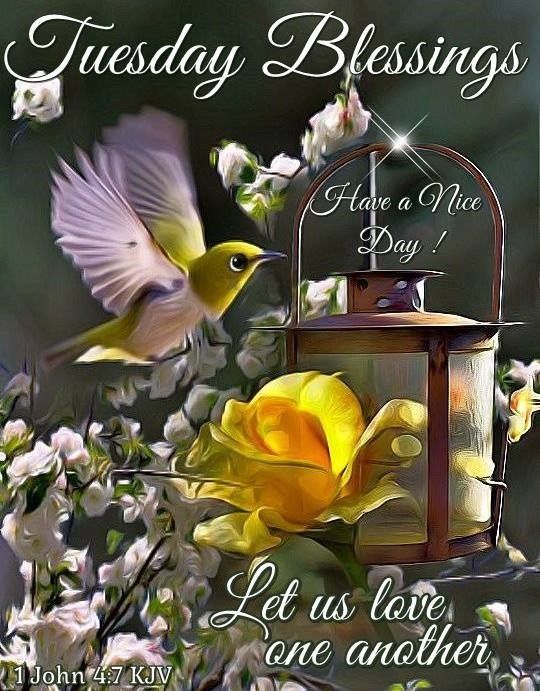 Let Us Love One Another, Tuesday Blessing Pictures, Photos, and Images ...