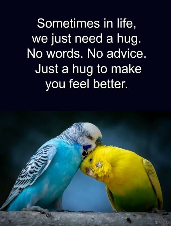 Sometimes In Life, We Just Need A Hug Pictures, Photos, and Images for ...