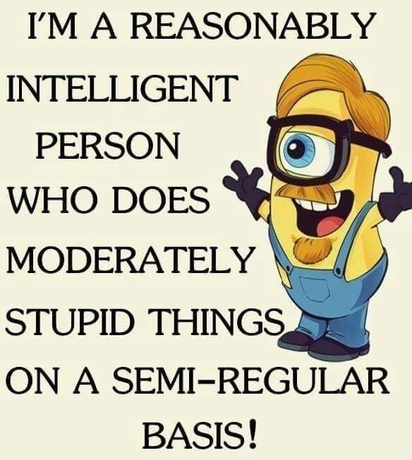 I'm A Reasonably Intelligent Person Who Does Moderately Stupid Things ...