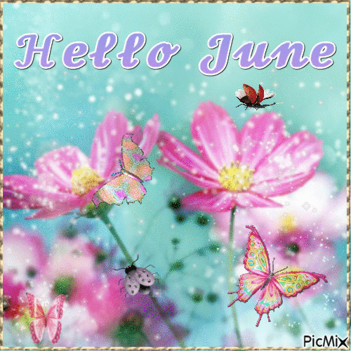 Magical Flowers And Butterfly - Hello June Pictures, Photos, and Images ...