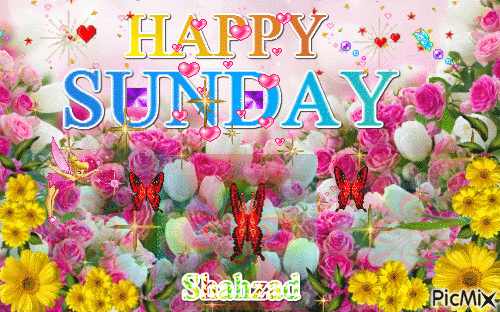 Happy Sunday Flowers Pictures, Photos, and Images for Facebook, Tumblr ...