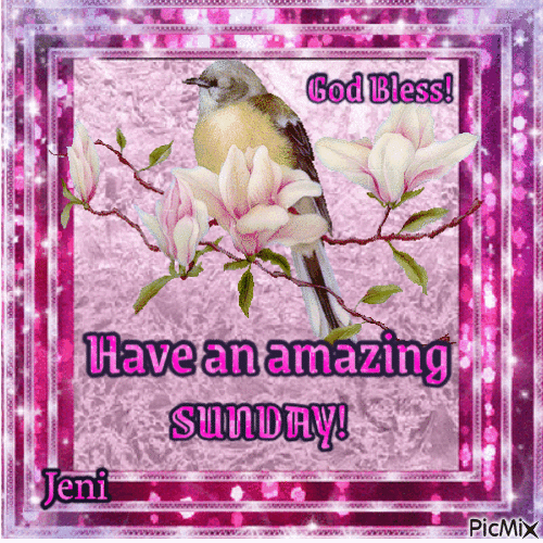 Have An Amazing Sunday! Pictures, Photos, and Images for Facebook ...