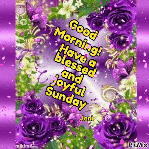 Violet Roses - Good Morning! Have A Blessed And Joyful Sunday Pictures ...