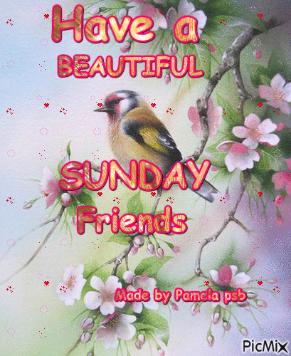 Have A Beautiful Sunday Friends Pictures, Photos, and Images for ...