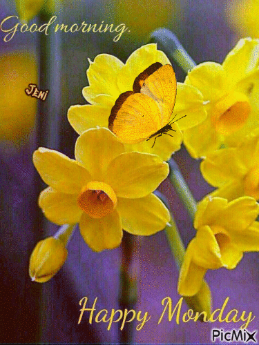 Good Morning, Happy Monday Pictures, Photos, and Images for Facebook ...