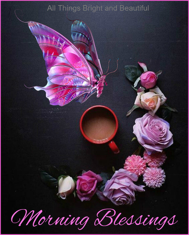 Morning Blessings Pictures, Photos, and Images for Facebook, Tumblr ...